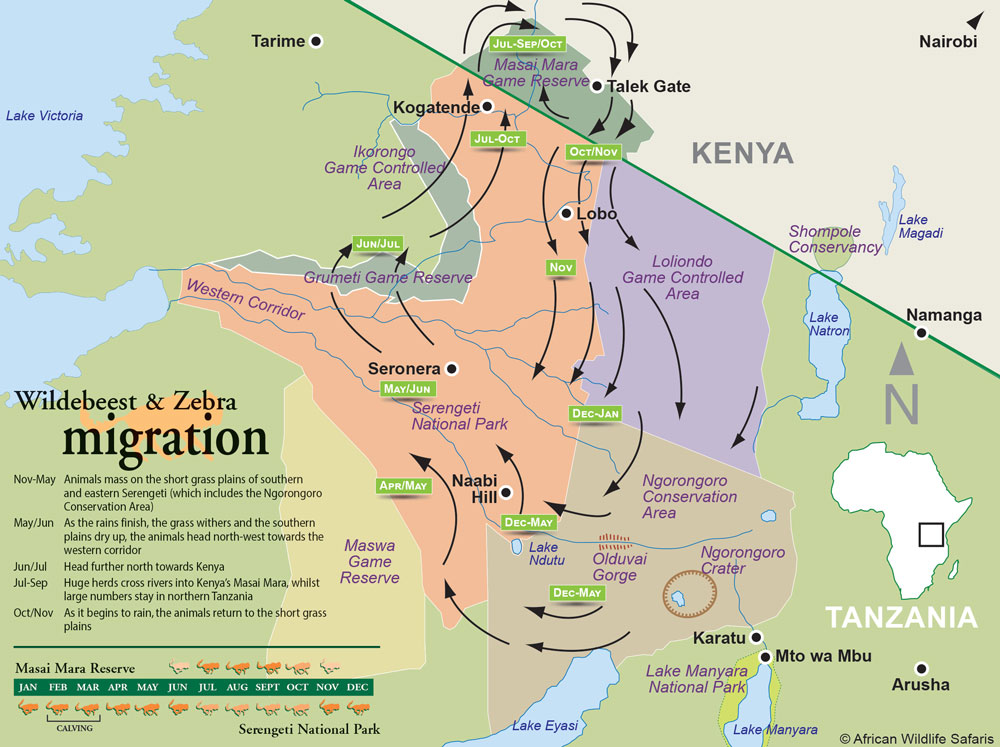 Tanzania Safaris Tours With African Wildlife Safaris Tanzania Safaris Tours With African Wildlife Safaris