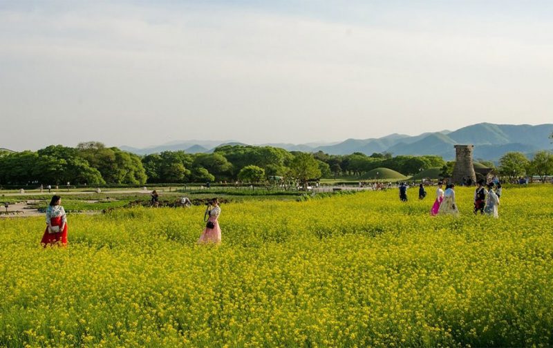 Discover Eternal Japan | African Wildlife Safaris