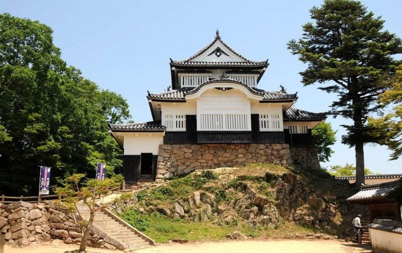 Discover Eternal Japan | African Wildlife Safaris