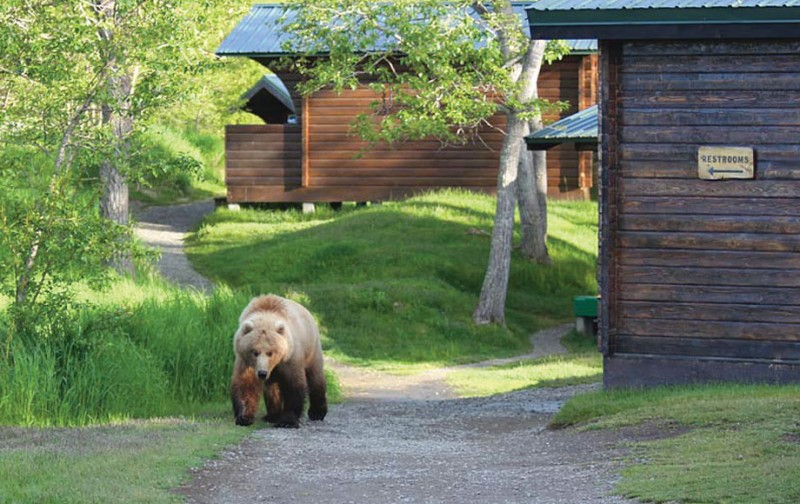Stay at famous Brooks Lodge in Alaska - Natural Focus