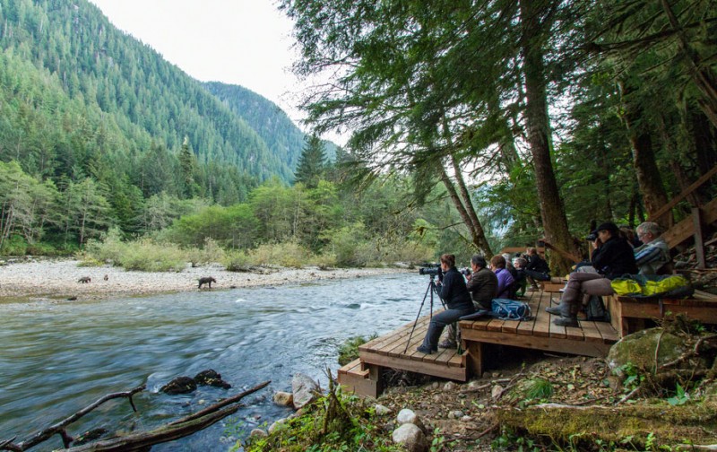 Visit Canada's Great Bear Lodge with Natural Focus